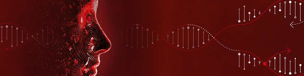 Carl Roth GmbH + Co. KG - Karlsruhe, Alemania